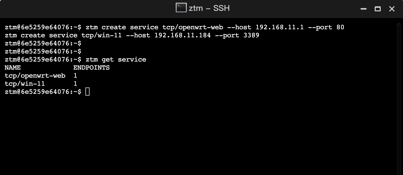 使用 ZTM 增强极空间 NAS 的远程访问能力![](https://atbug.oss-cn-hangzhou.al - 掘金